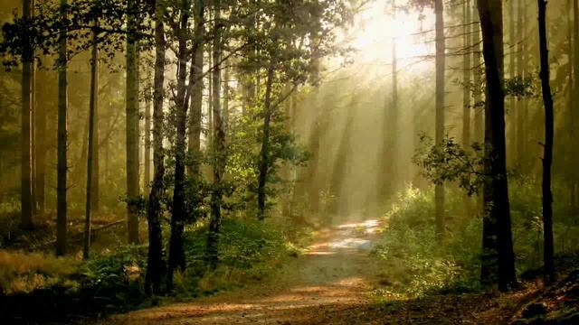 О пользе и вреде СОМНЕНИЯ. Сомневайтесь правильно