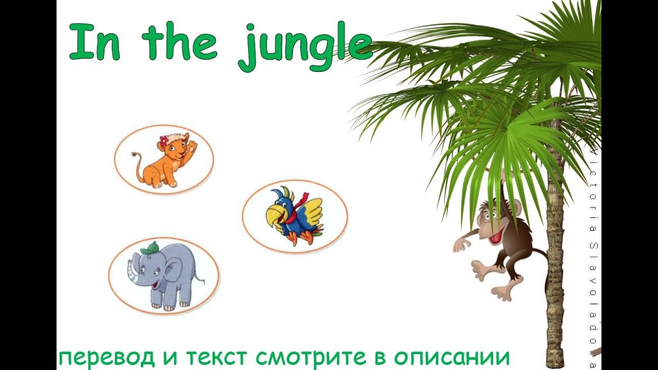 The story "In the jungle". English for kids. Английский для дошкольников. История "В джунглях".