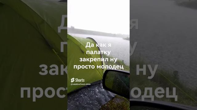 14 июня 2024 г.