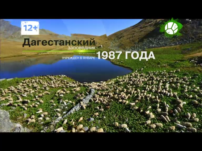 Заповедники России. Дагестанский заповедник