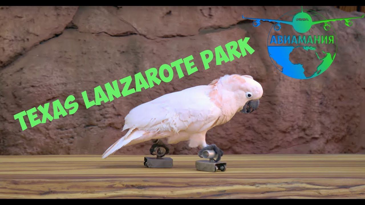 Лансароте Канарские острова: Ранчо Техас Парк (Rancho Texas Lanzarote Park) #Авиамания