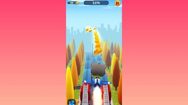 Мой кот Том. Том за золотом.