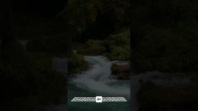 Қарақат көзді қарағым