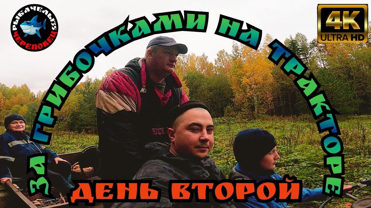 Выходные на р.Андога в 4к. День второй!!! В лес на тракторе за грибочками!!!