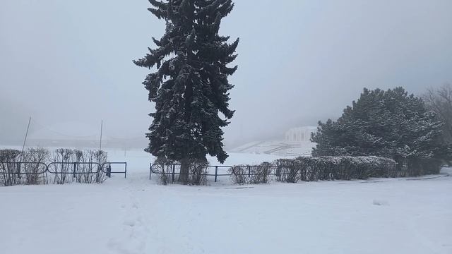 Новочеркасск.Отличный Зимний Денёк