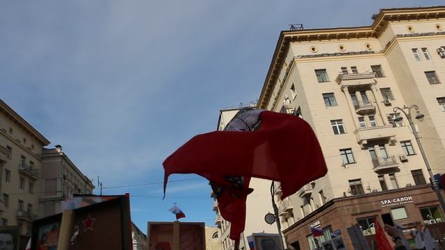 Журавли в потоке Бессмертного полка 2022