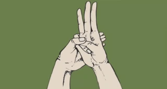 Мудра воды. ? Лечение мудрами. При избытке влажности в организме воды или слизи в легких, желудке.