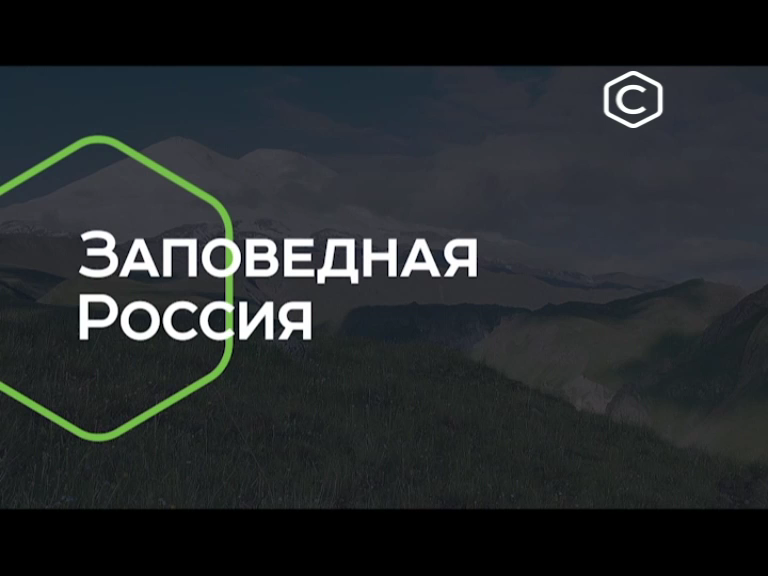 Заповедная Россия