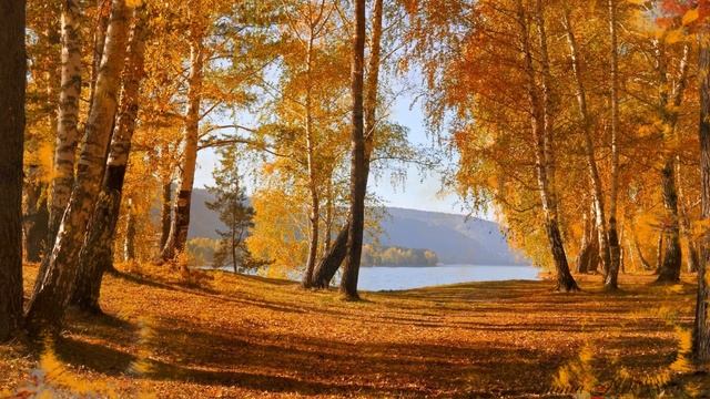 ОСЕННЕЕ ОЧАРОВАНИЕ. КРАСИВАЯ МУЗЫКА ДЛЯ ДУШИ.