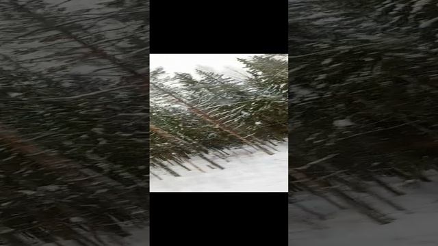 ЭКСКУРСИЯ ДОРОГА ЖИЗНИ ПО ДОРОГЕ ЖИЗНИ БЛОКАДА ЛЕНИНГРАДА ВОВ ВЕЛИКАЯ ОТЕЧЕСТВЕННАЯ ЛАДОГА ЛЕНИНГРАД