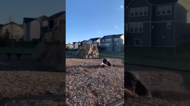 Человек Страус.