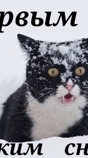 Жизнь на пенсии.  Погода в мае!