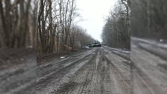 Инженерно-саперные подразделения ВДВ применяют в зоне СВО самоходные установки разминирования УР-77