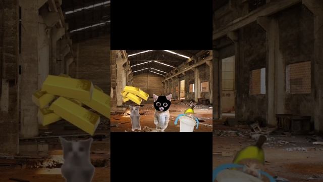Banana cat украли, но друг его спас