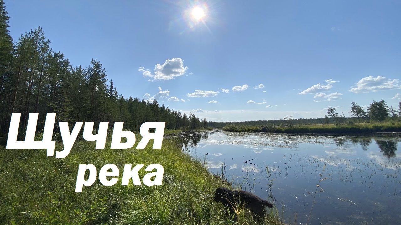 Река между двух Озер Кишит рыбой / Рыбалка на Спиннинг / Северная Карелия