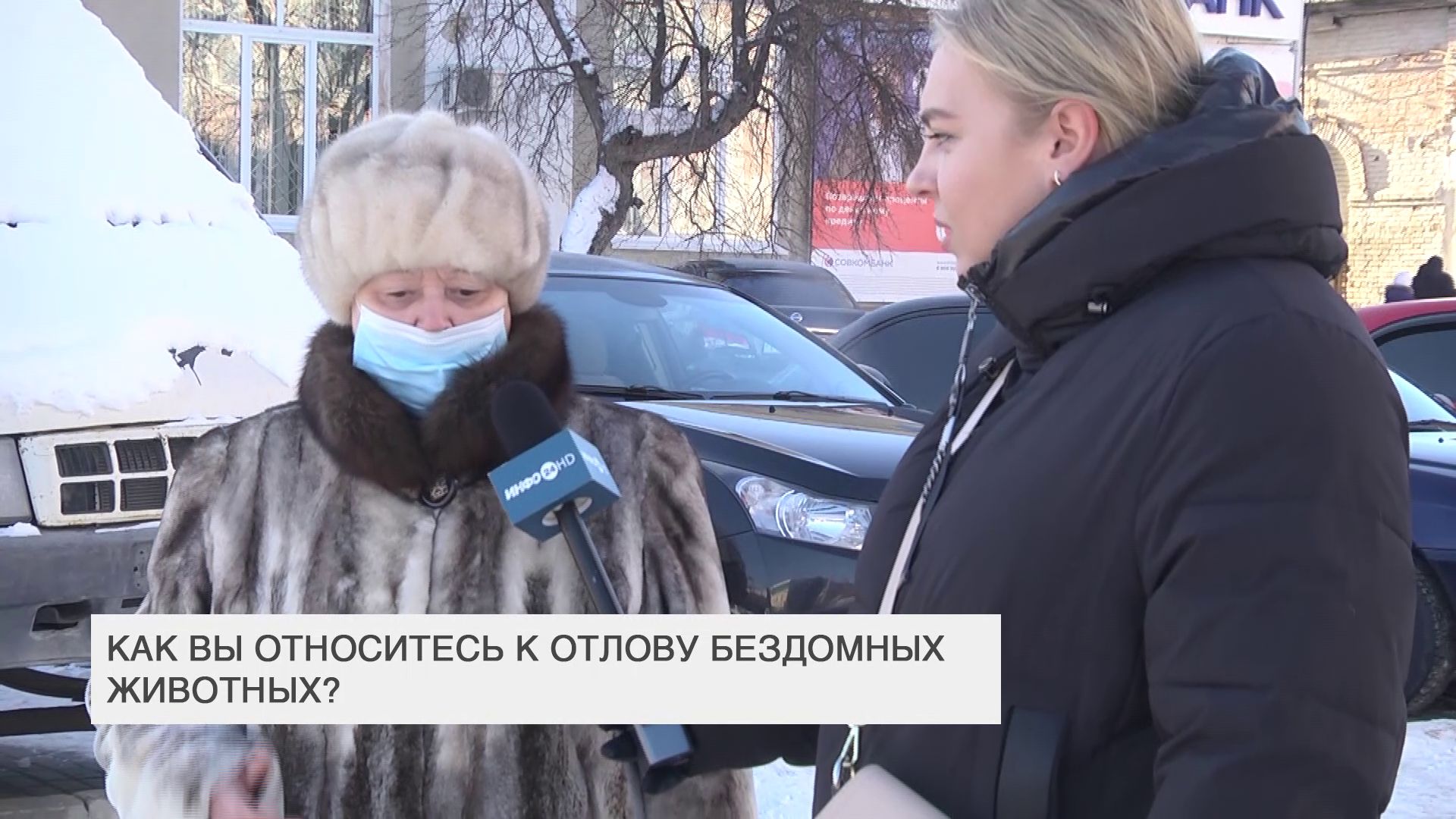 Вопрос-ответ: Как вы относитесь к отлову бездомных животных? (2022-01-26)