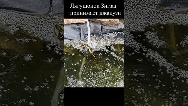 Зигзаг принимает джакузи