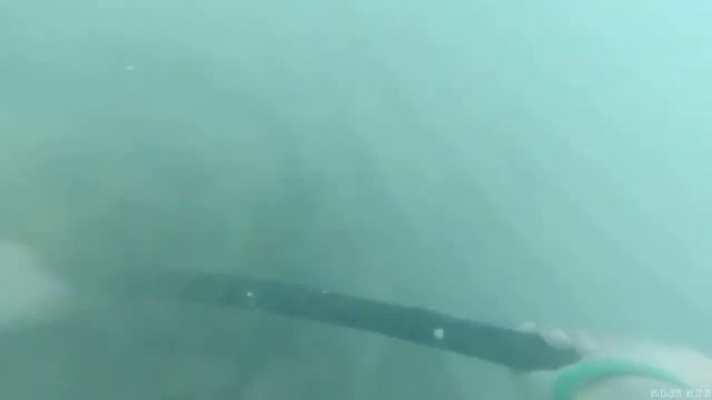 Опасно!Абхазия!Стальной прут под водой у пляжа.Съемка под водой