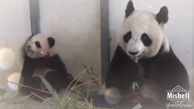 Детство Катюши 2 серия