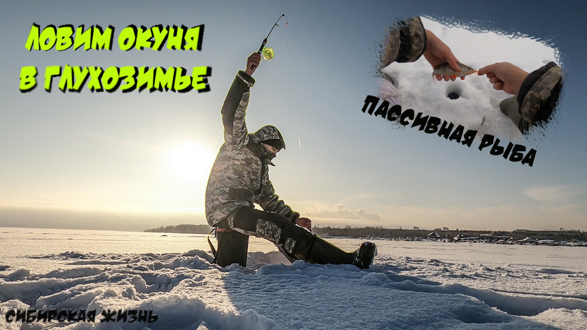 Ловим окуня в глухозимье. Уговариваем пассивную рыбу