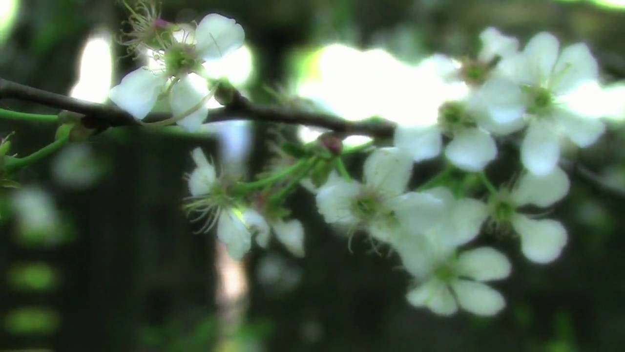 Love Story. may2010.