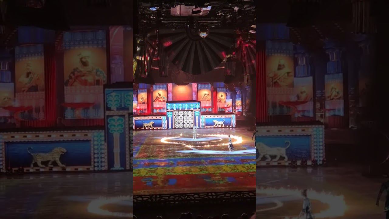 #Ледовоешоу #Историялюбви #навка