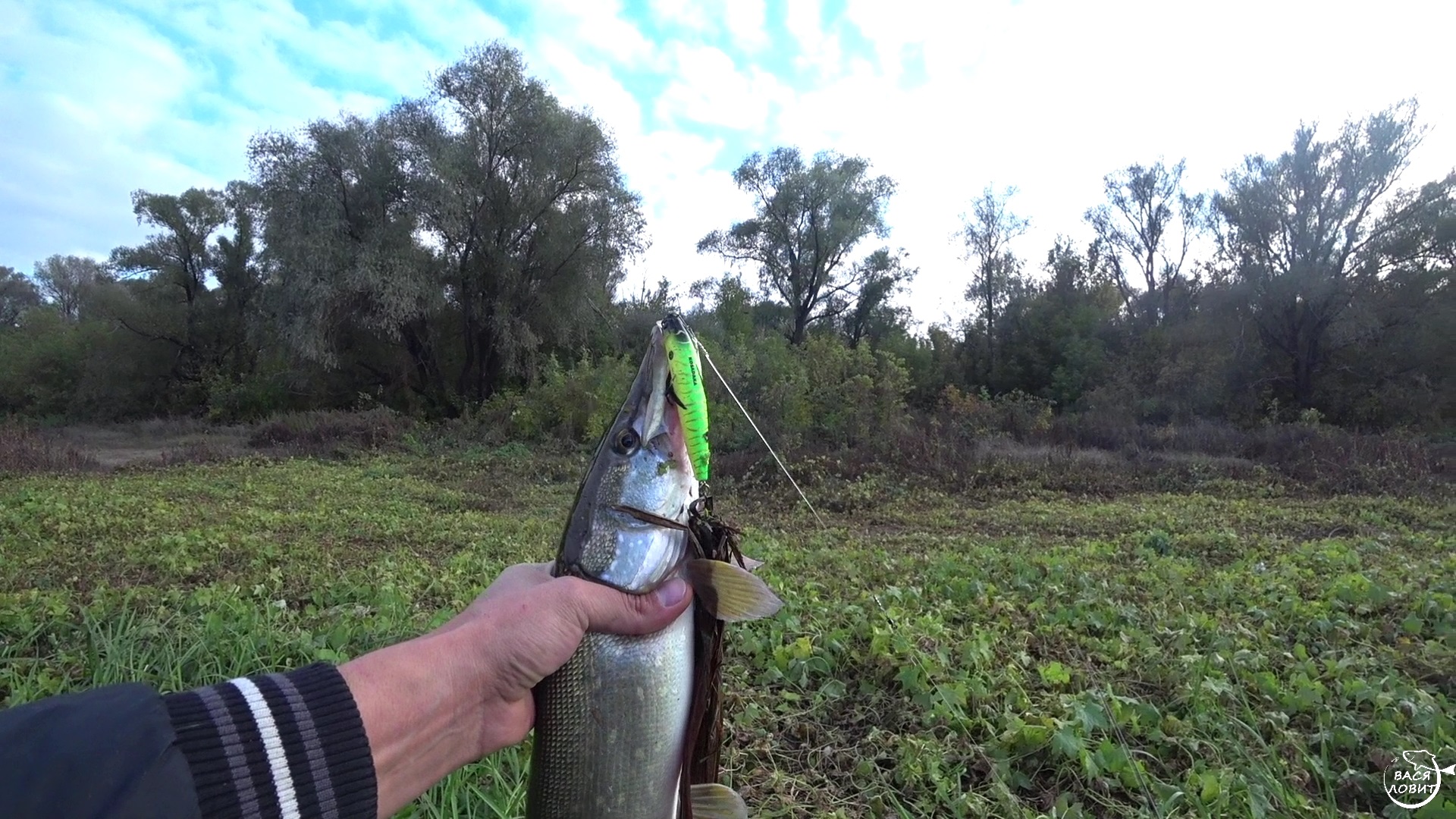 Щука на спиннинг. Небольшая рыбалка вечером (10.10.2021)