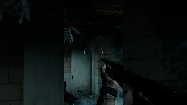 Дробиной в голову