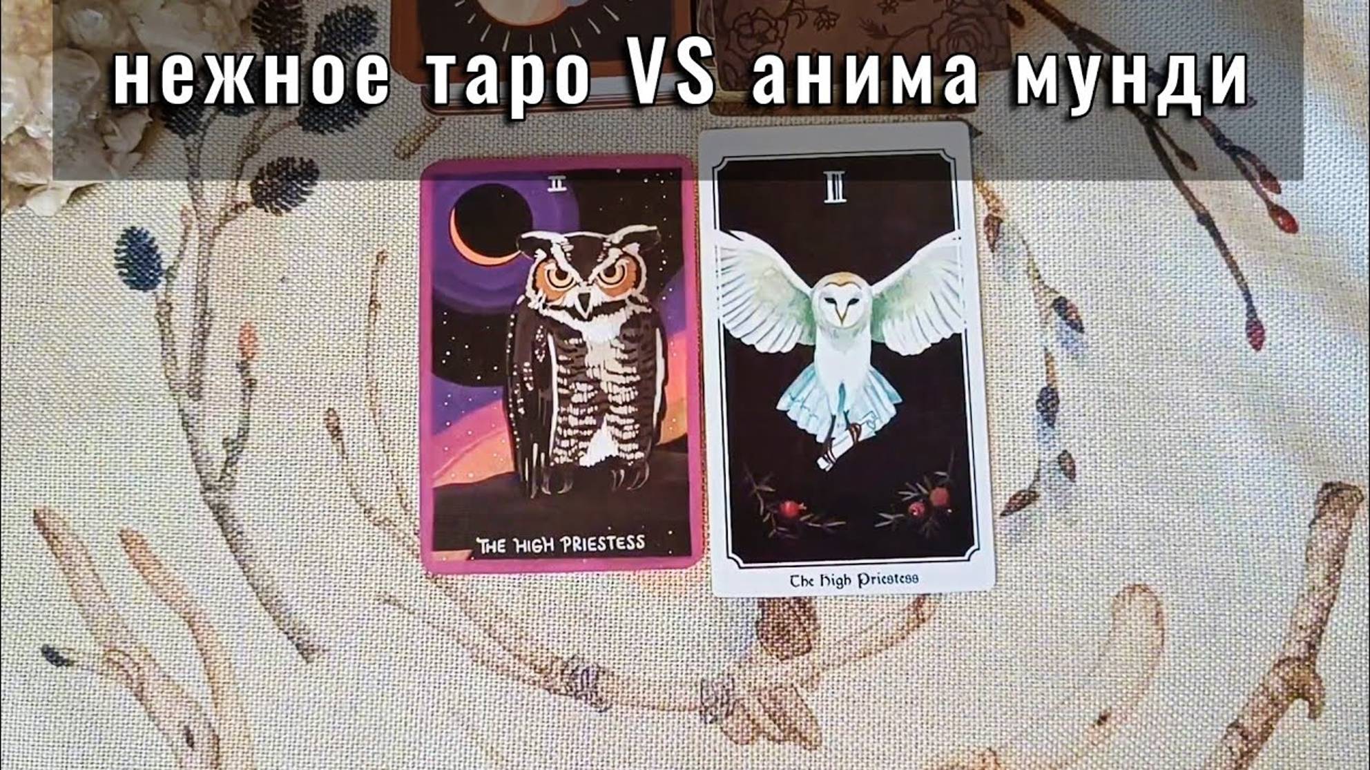 Анима Мунди VS Gentle Tarot | Сравнение 2-х таро с животными