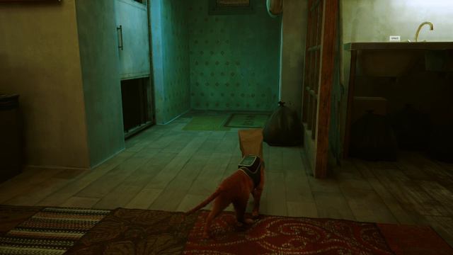 Котики остаются котиками. STRAY/