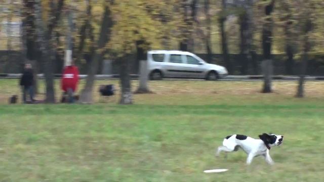 Фризби Фристайл Полина и Бирюса Осенний вальс.mp4