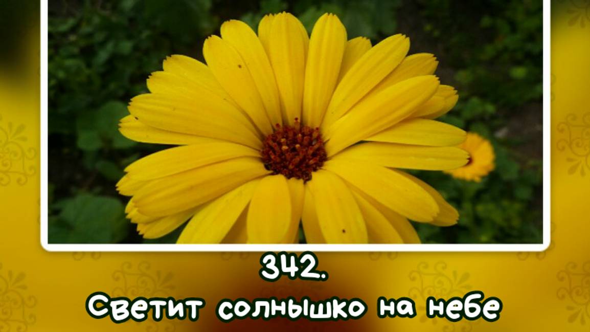 Гимны надежды 342 Светит солнышко на небе (-)