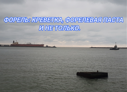 Туапсе 11.02.2022 набережная порта: форель ловят по-разному.