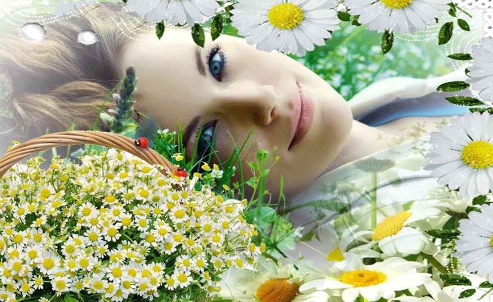 Дарю тебе поля цветов.mp4