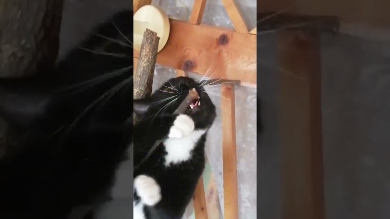 Пиксель - 27.04.2024