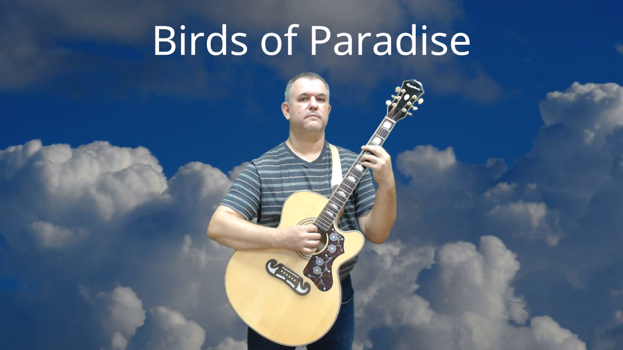 Birds of Paradise (Peter, Sue and Marc)