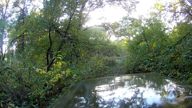 Дорога домой