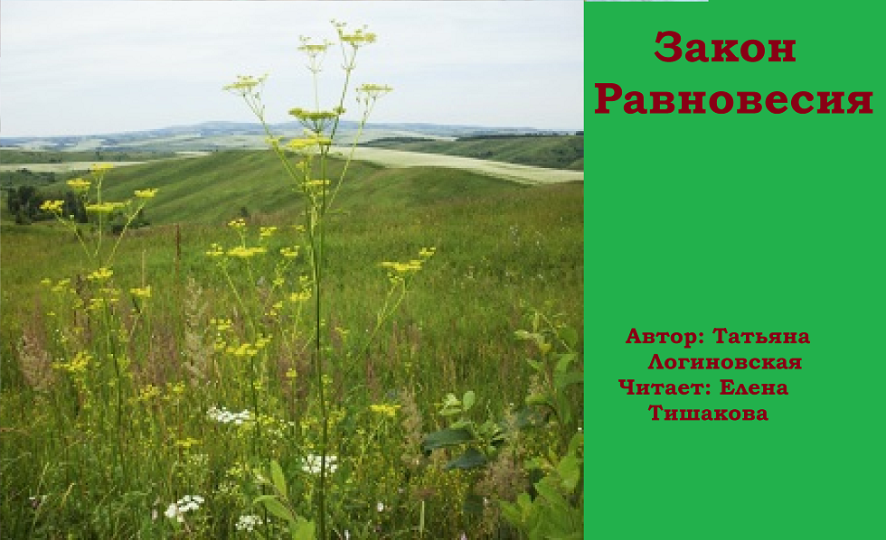 Стихи.  Закон равновесия