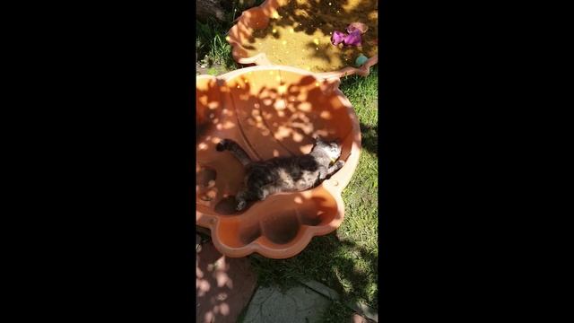 Не нужен нам берег турецкий и Африка нам не нужна!!!!!!!