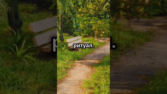 🌿  Лето уже здесь!  Вспомни, как дышать свежим воздухом!  ☀️