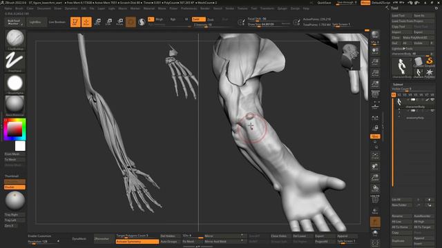 37_Фигура_ нижняя часть руки для создания #3d_персонажей