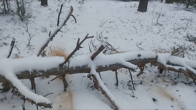 Подготовка к мероприятиям по проекту Квест "Гонка милосердия"