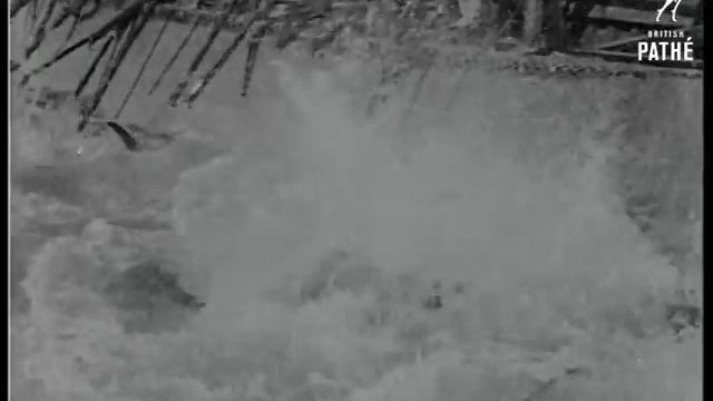 Кинохроника, Старый Итальянский Обычай (1932) Сицилия, Италия. An Old Italian Custom Sicily, Italy