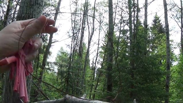 Шок! Петли-ловушки. Берегите природу.