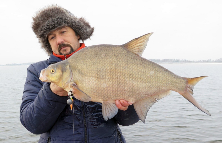 202.Кремлёвский Лещ. РР 3 Bear.mp4