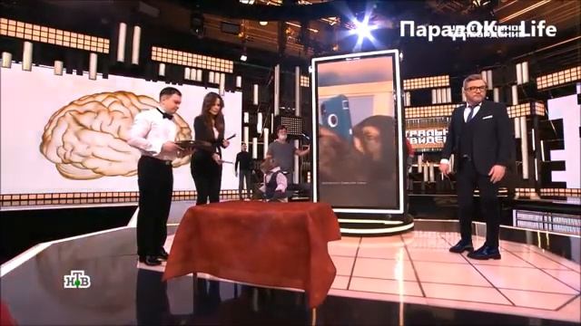 Попытки проникнуть в голову человека.