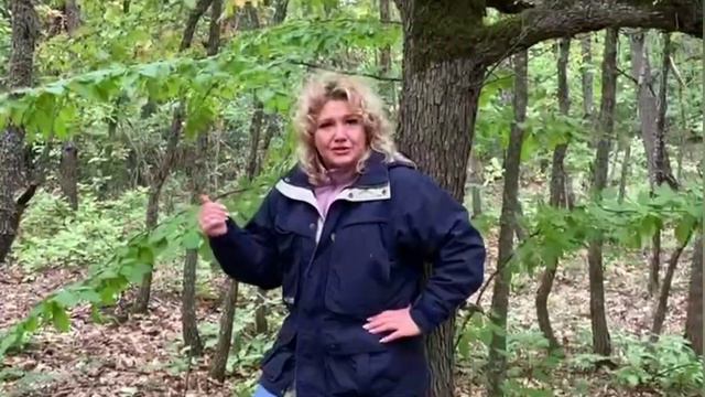 Снятие психологического напряжения на природе. Релаксация в лесу.