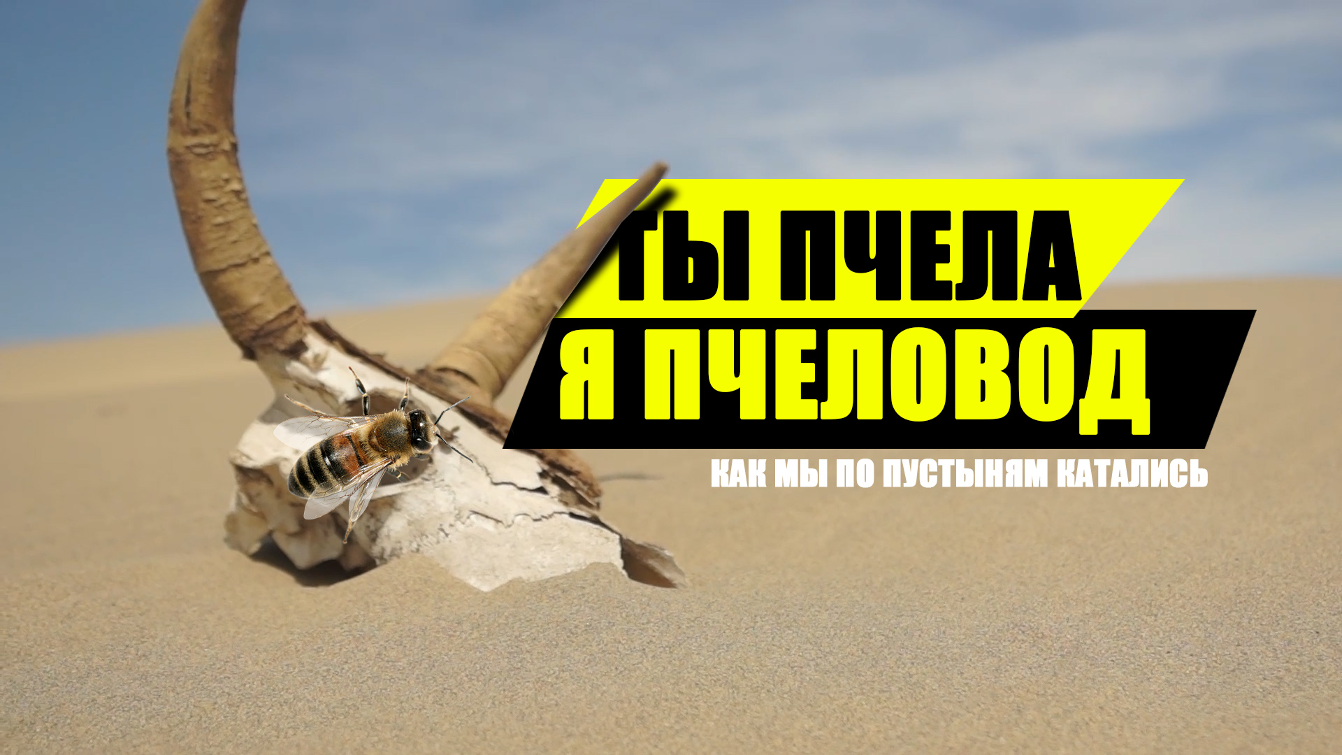 "Ты пчела, я пчеловод" основная музыкальная тема одного нашего путешествия