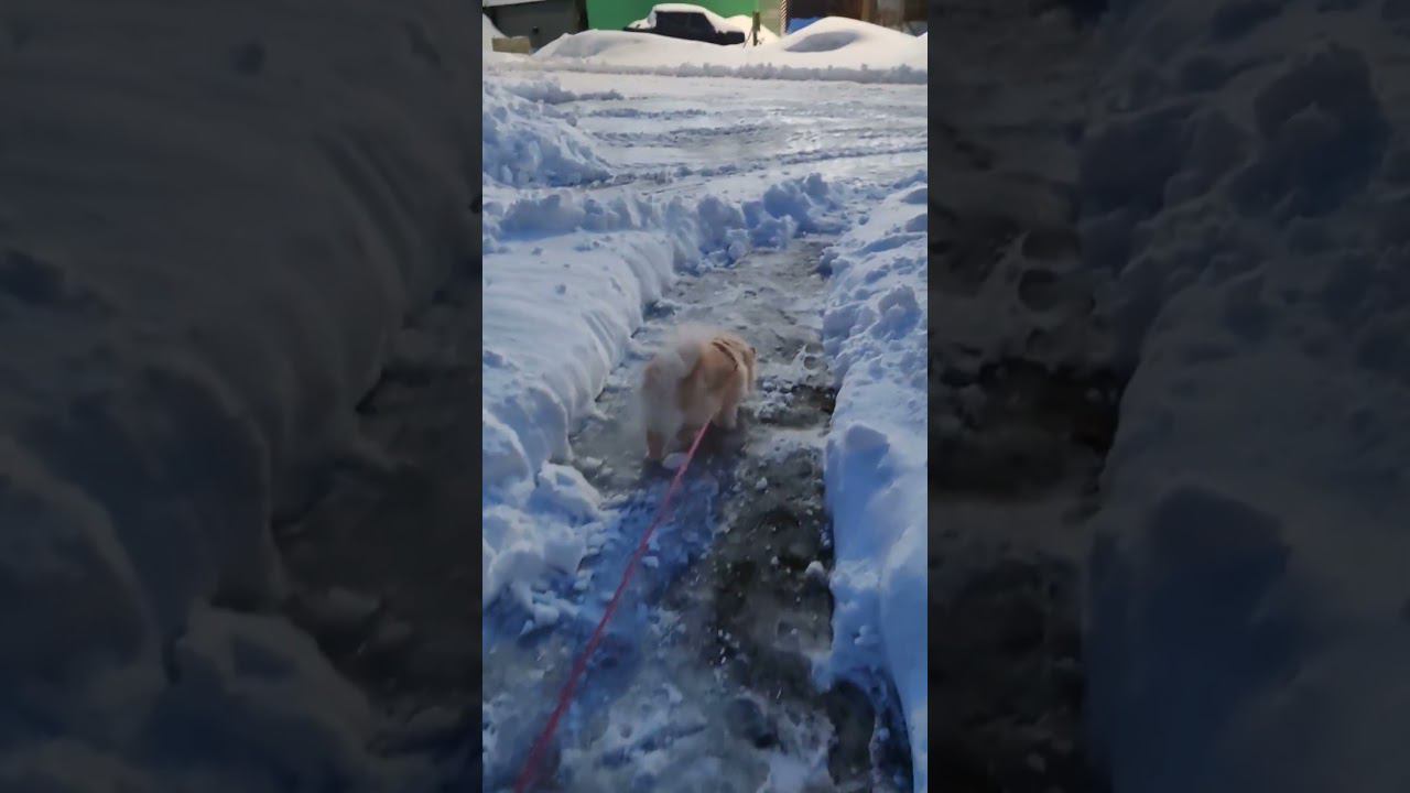 25 января 2024 г.