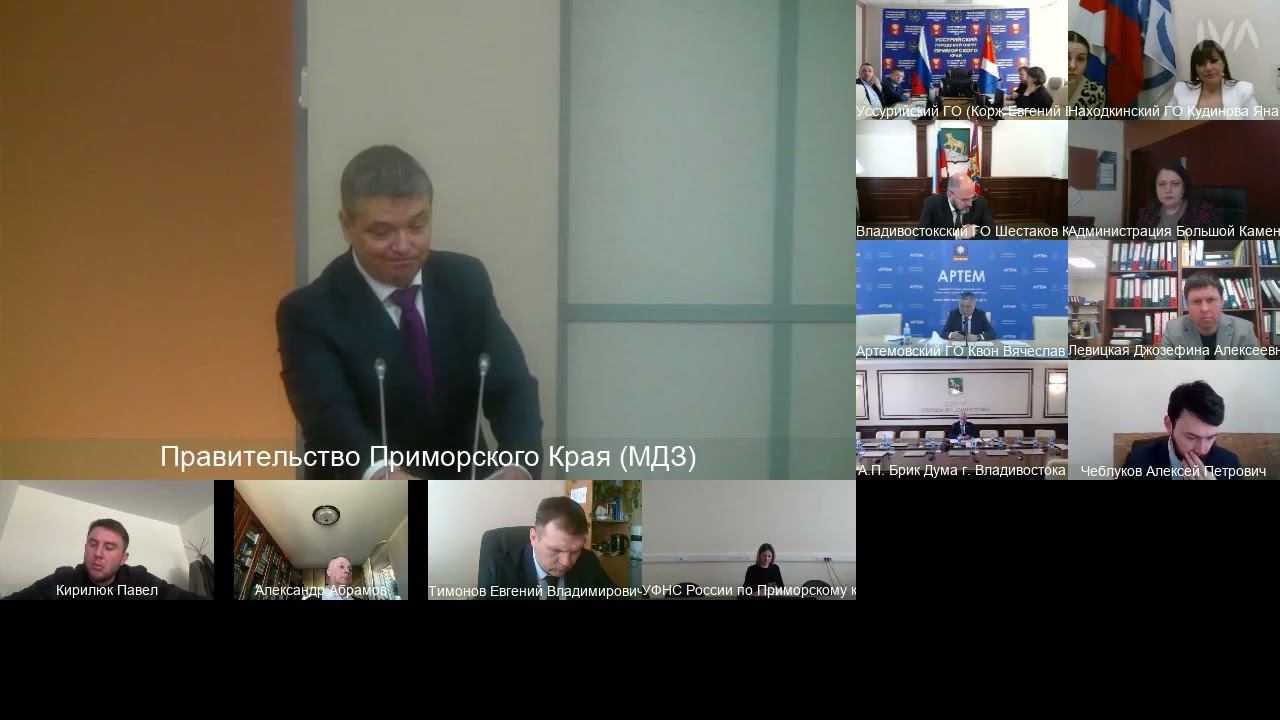 Совет по привлечению инвестиций в экономику Приморского края 05.04.2024 г.